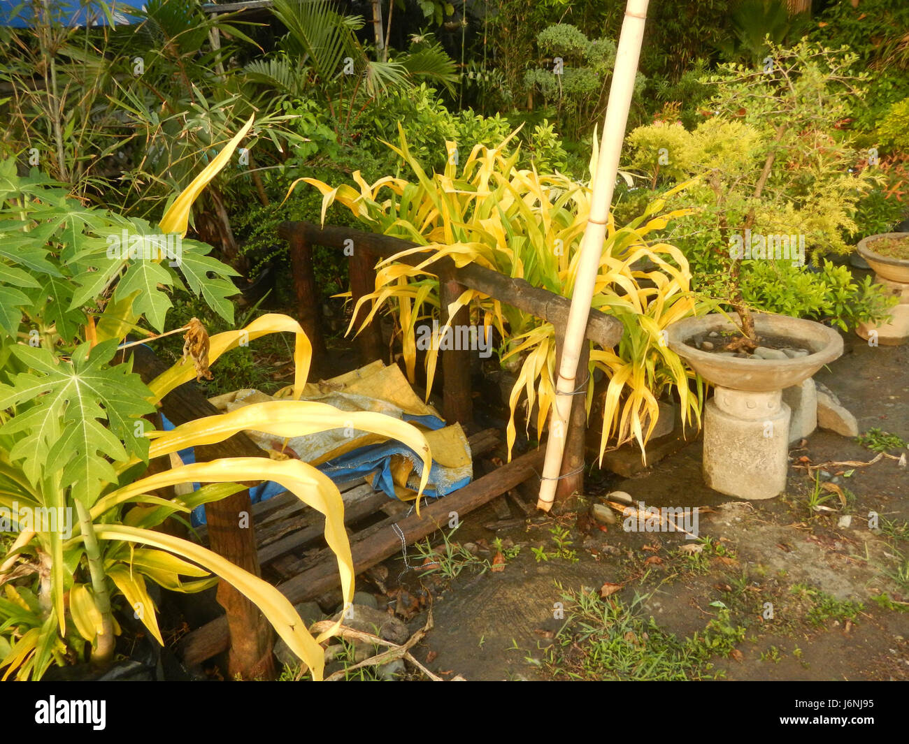 07850 Garden City Santa Cruz Guiguinto, Bulacan 24 Stock Photo - Alamy