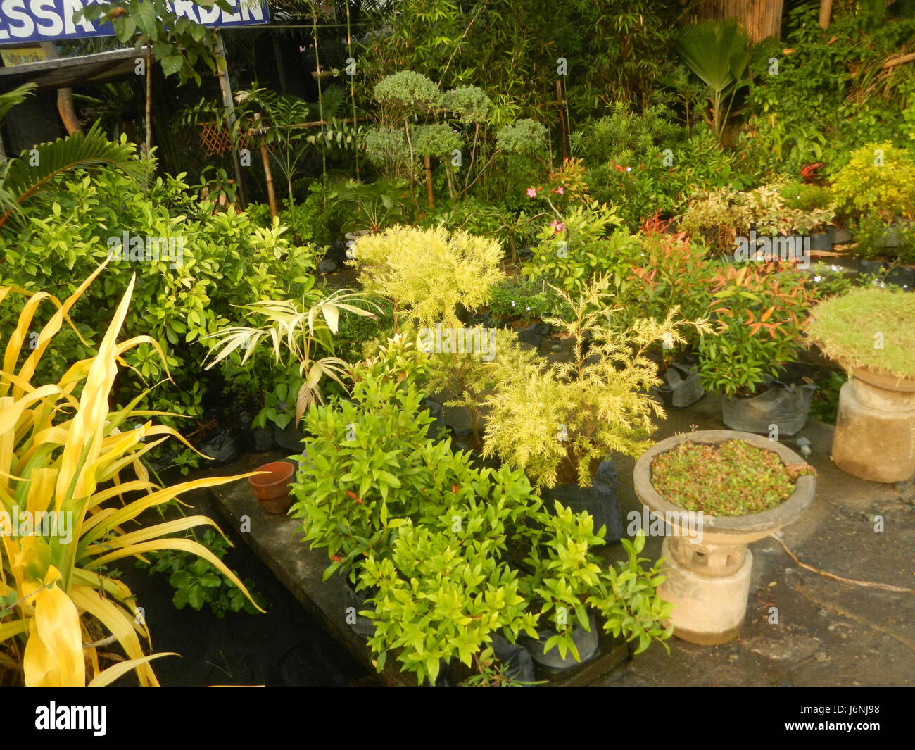 The Garden City in Santa Cruz, Guiguinto, Bulacan, showcases a variety ...