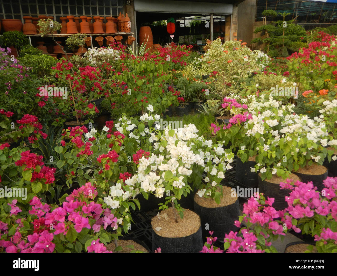 This refers to a location in Santa Cruz, Guiguinto, Bulacan, where ...