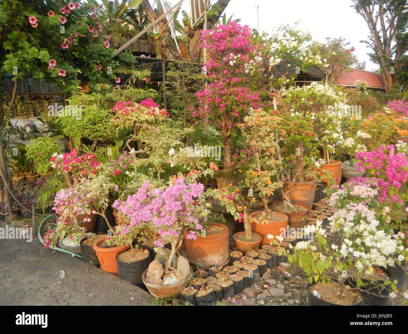 The Garden City in Santa Cruz, Guiguinto, Bulacan, is known for its ...