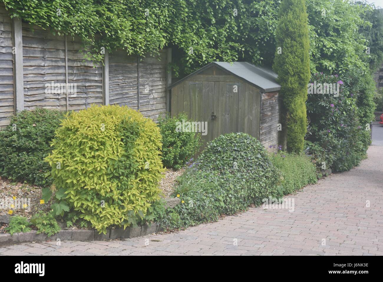 A shed hidden away in a garden Stock Photo - Alamy