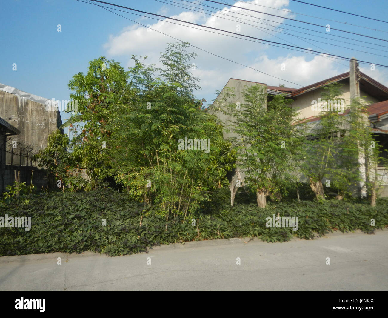 09019 Pilar Village San Isidro Sindalan San Fernando, Pampanga 01 Stock ...