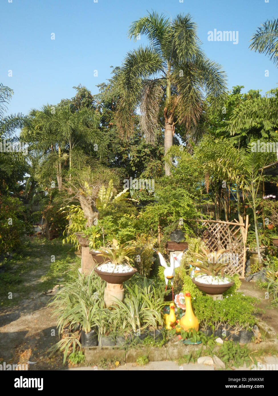 A description of the area in Pilar Village, San Isidro, Sindalan, and ...