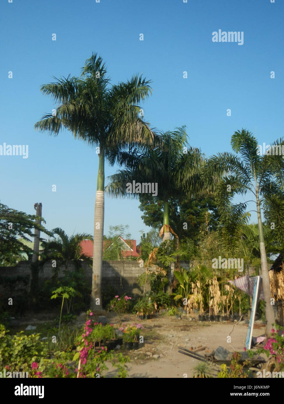 09162 Saint Paul Chapel Gardens Sindalan San Fernando, Pampanga 05 ...