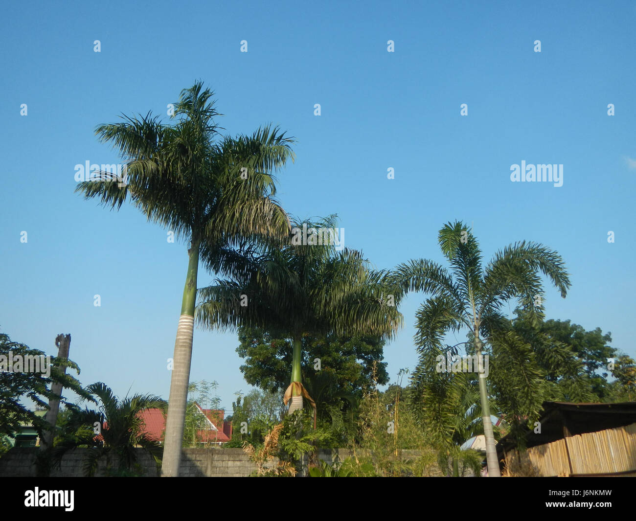 09162 Saint Paul Chapel Gardens Sindalan San Fernando, Pampanga 08 ...