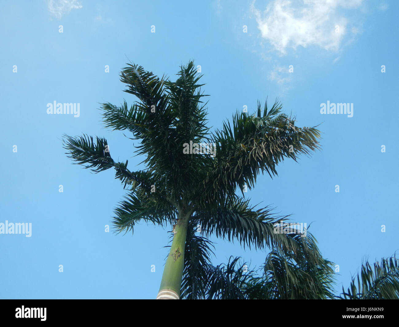 The Saint Paul Chapel Gardens, located in Sindalan, San Fernando ...