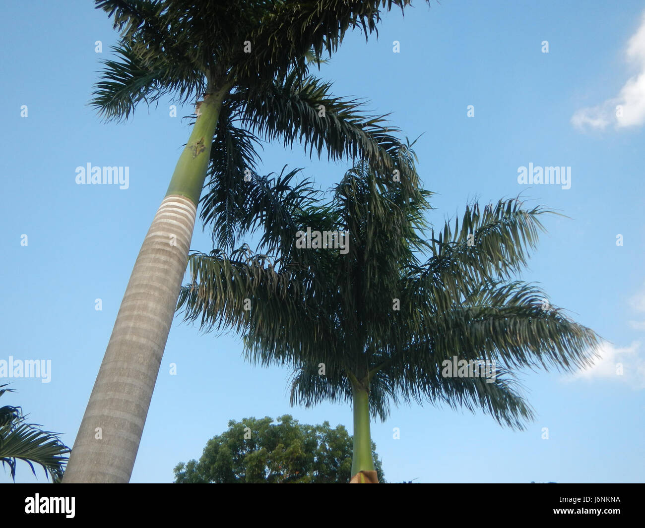 09162 Saint Paul Chapel Gardens Sindalan San Fernando, Pampanga 18 ...