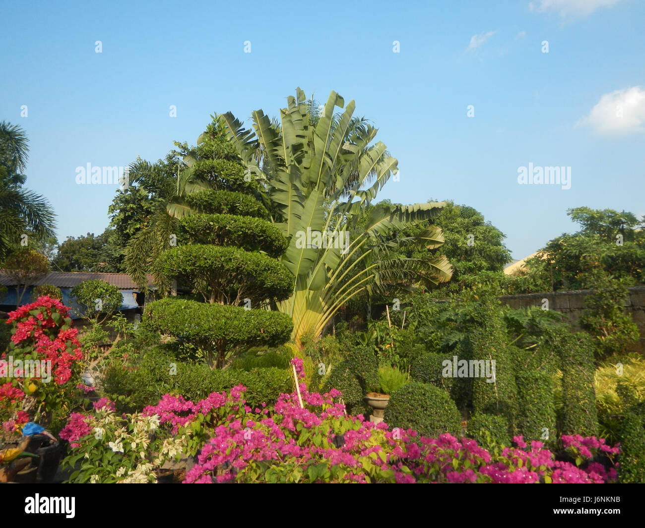 09162 Saint Paul Chapel Gardens Sindalan San Fernando, Pampanga 19 ...