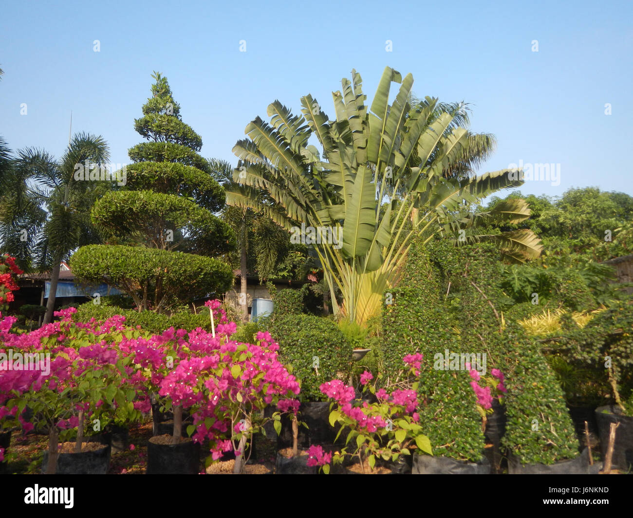 The Saint Paul Chapel Gardens in Sindalan, San Fernando, Pampanga, is a ...