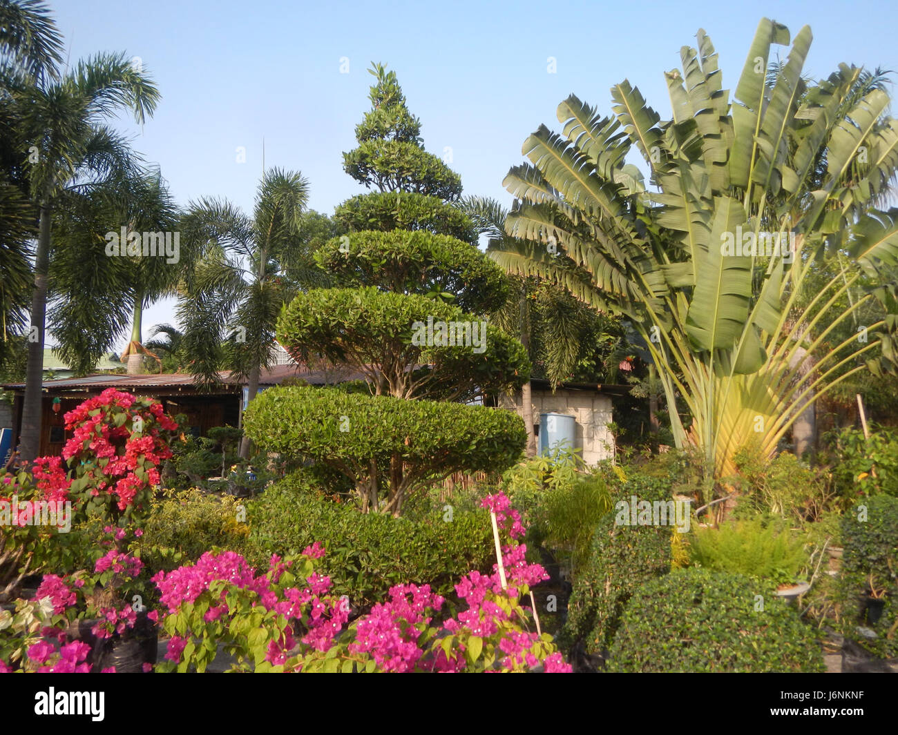 09162 Saint Paul Chapel Gardens Sindalan San Fernando, Pampanga 23 ...