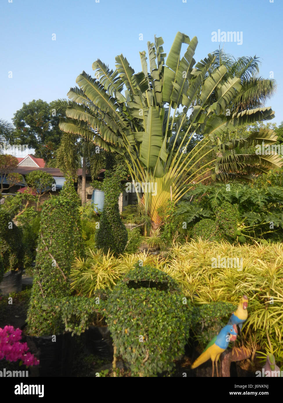 09162 Saint Paul Chapel Gardens Sindalan San Fernando, Pampanga 24 ...