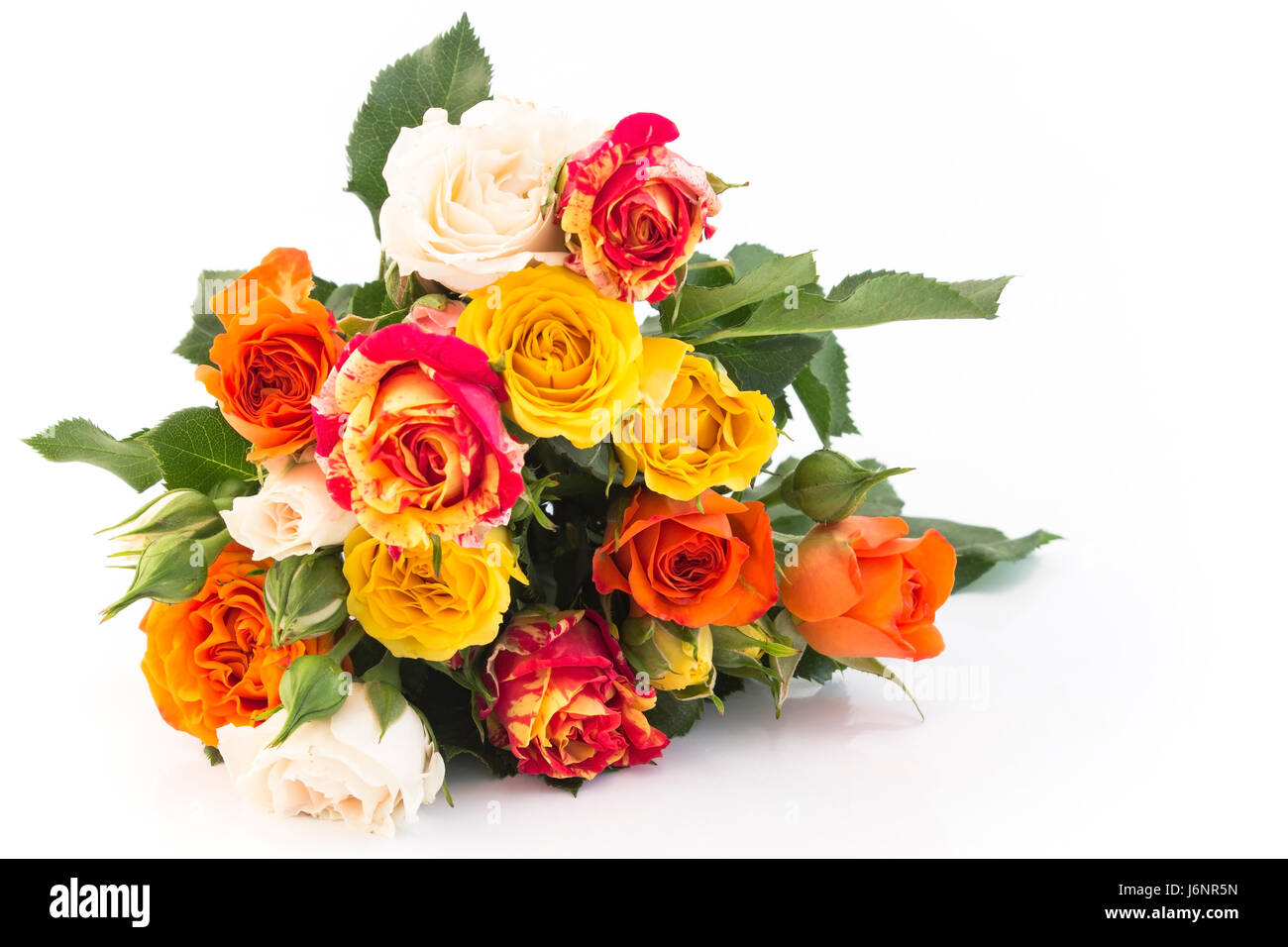 Bouquet of Multicolored Roses Isolated on White Background Stock Photo ...