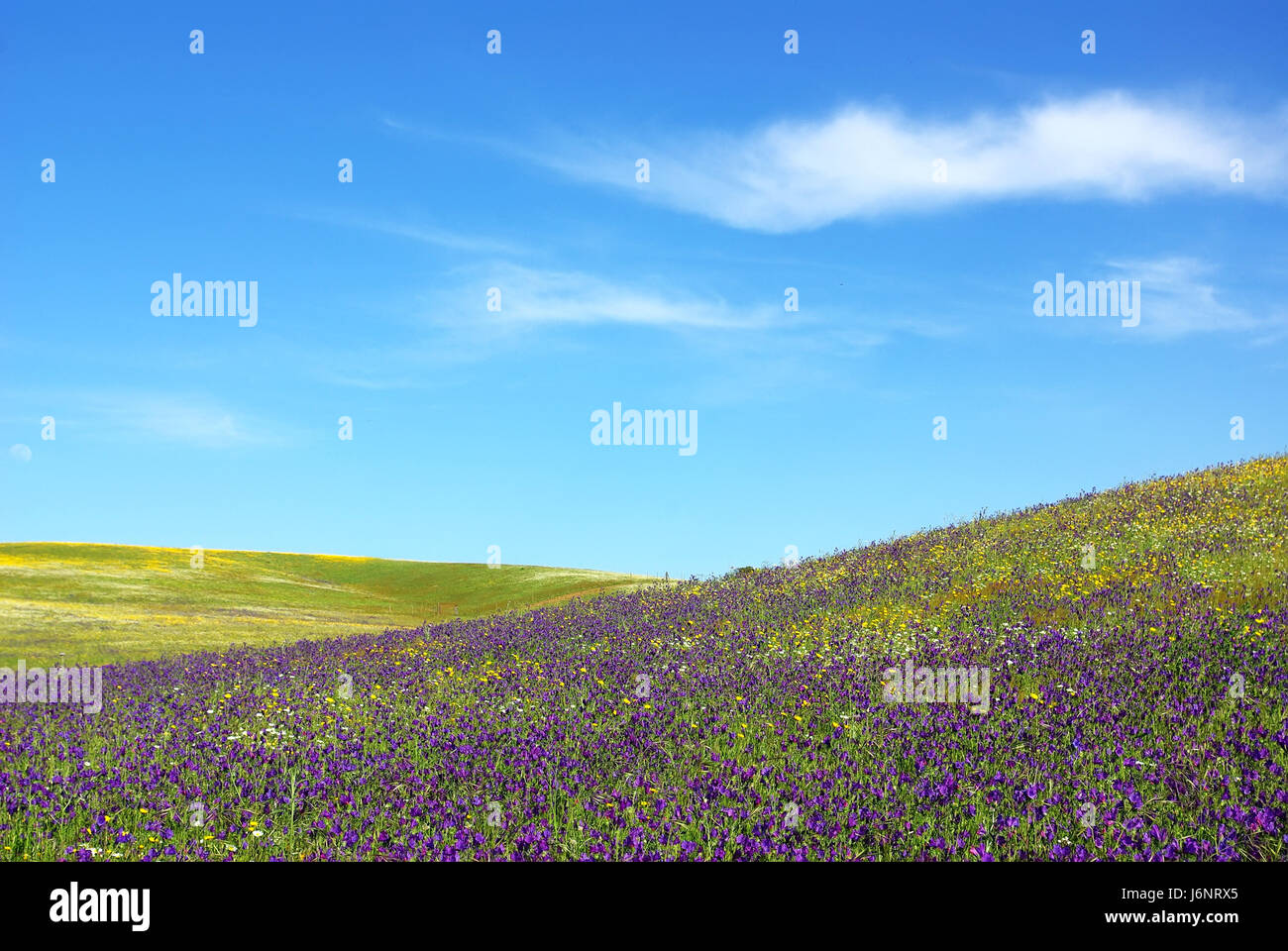plain landscape scenery countryside nature color backdrop background ...