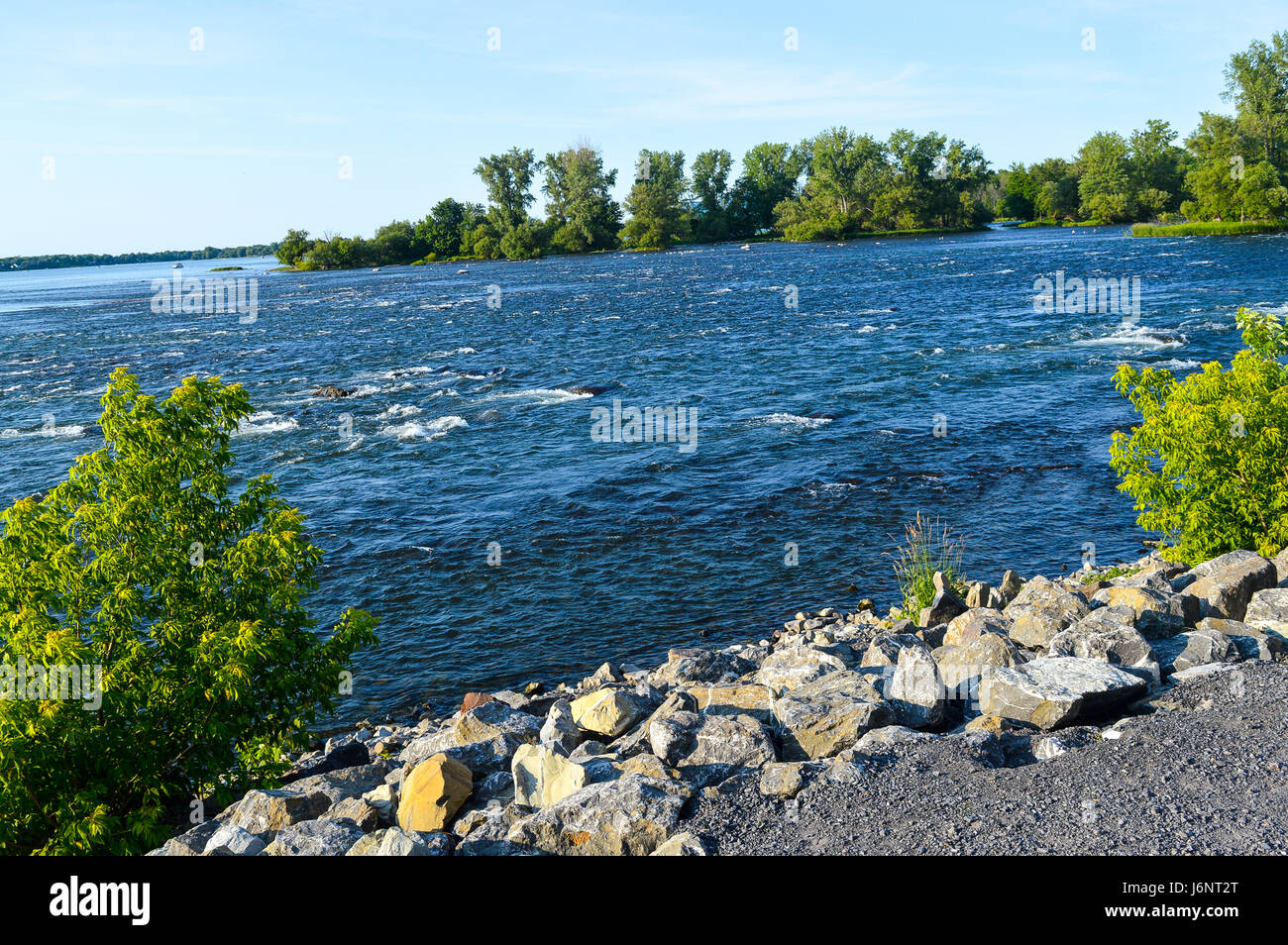 Forest wild river landscape. Scenic view from atop a mountain in Mont ...