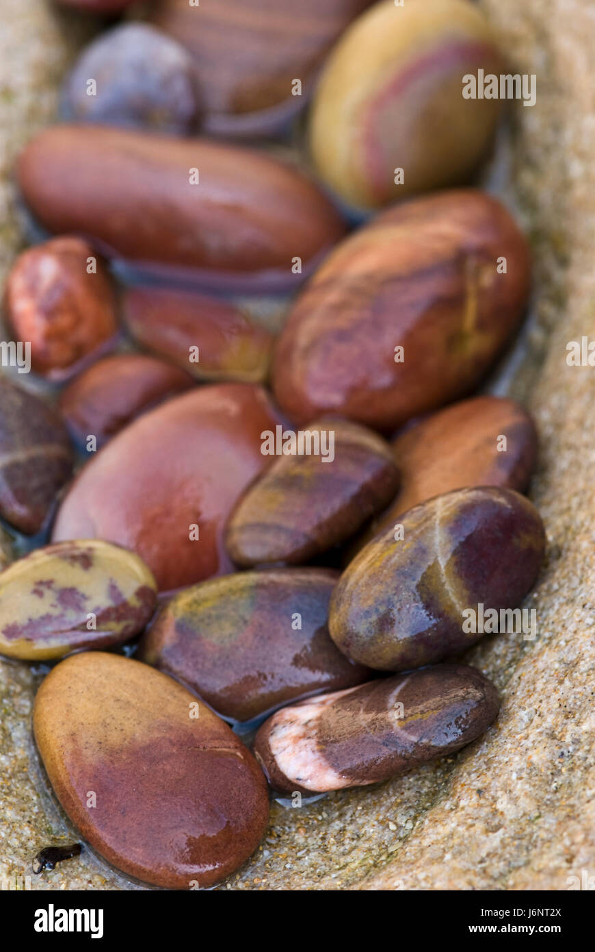 red brown pebbles Stock Photo - Alamy