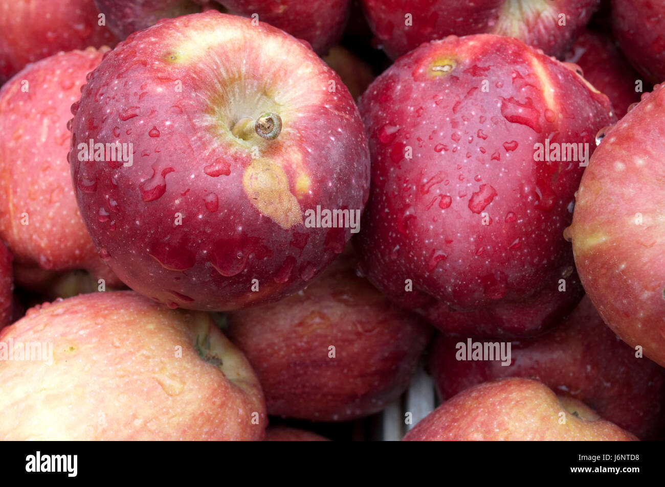 fruit apple texture natural fruit juice juicy apple red fresh texture ...