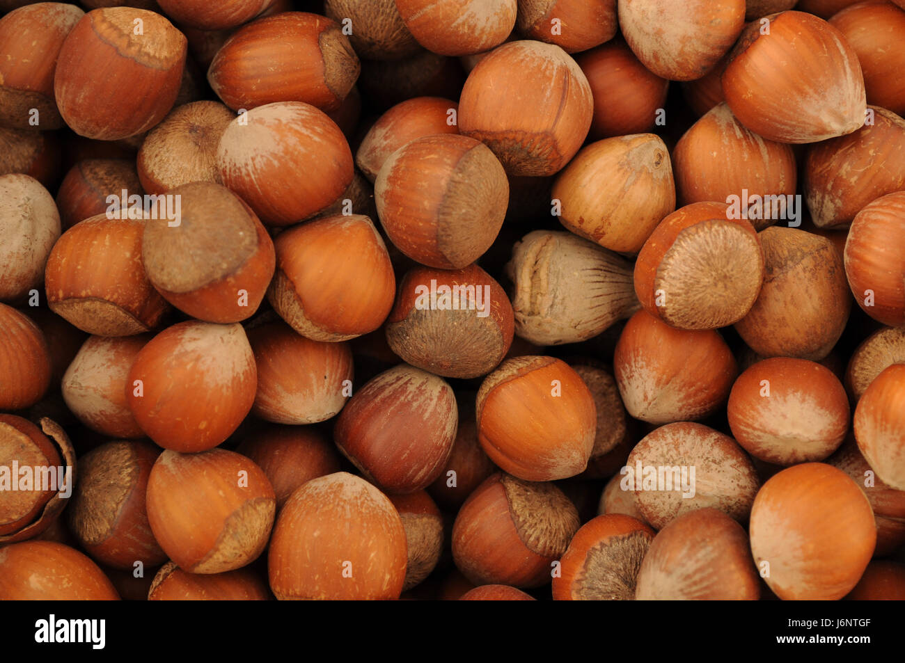 food aliment filbert hazelnut hazel nutshell texture natural close some ...