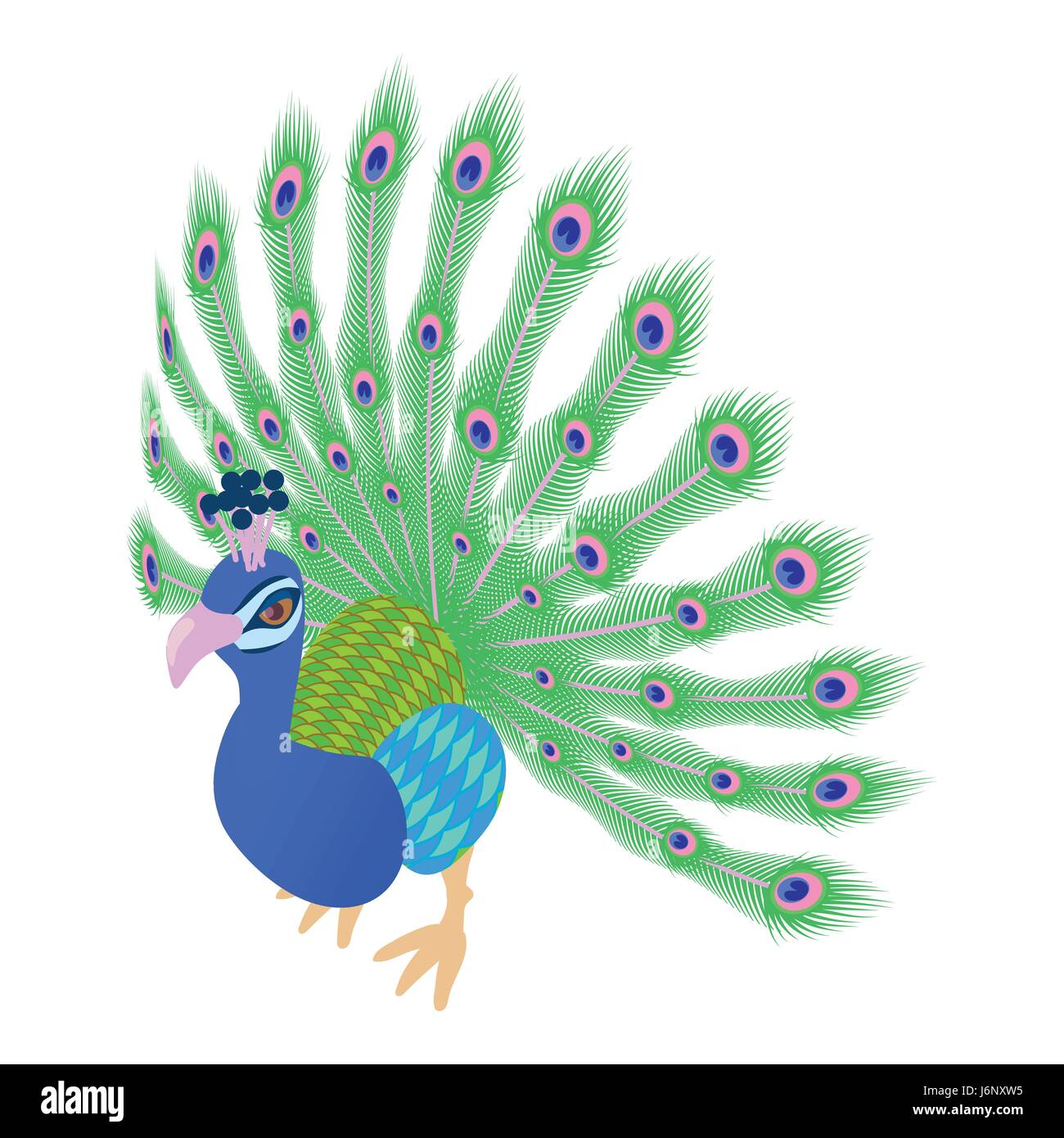 Cartoon Peacock Stock Photos & Cartoon Peacock Stock Images - Alamy