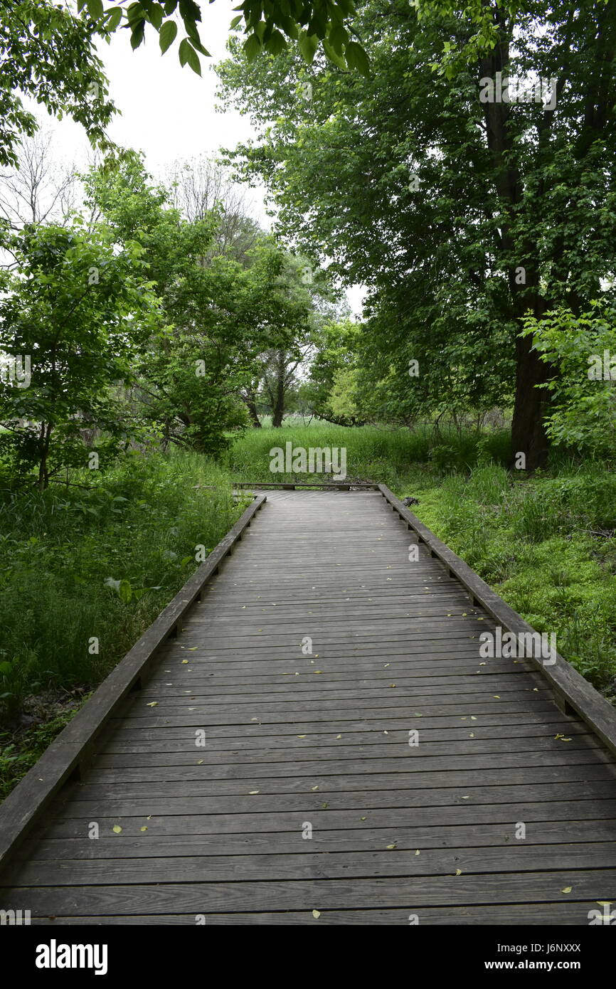 Scenic wetlands hi-res stock photography and images - Alamy