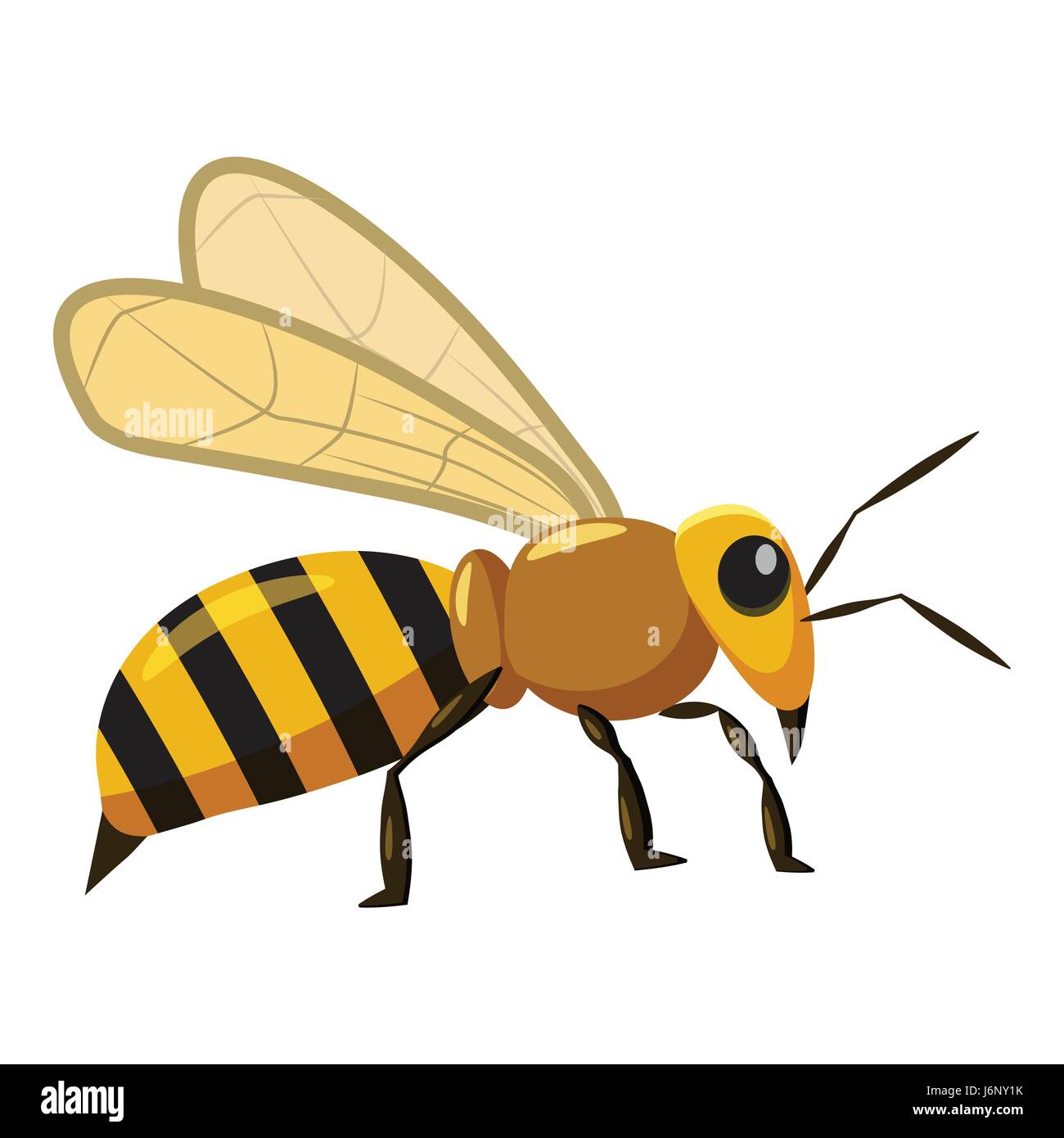 Bee icon, cartoon style Stock Vector Image & Art - Alamy