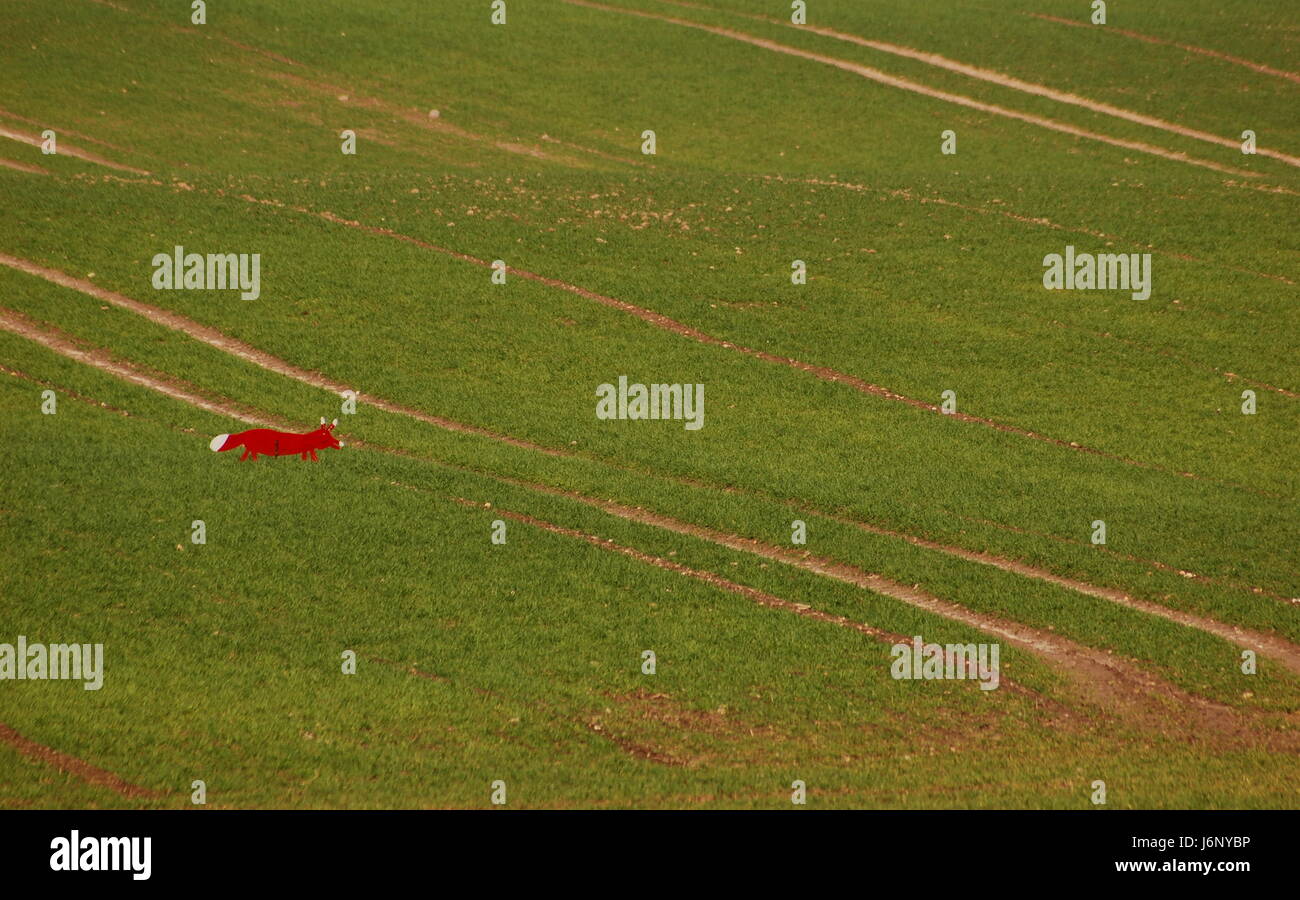 agriculture farming field fox artificial scarecrow seed bird ...