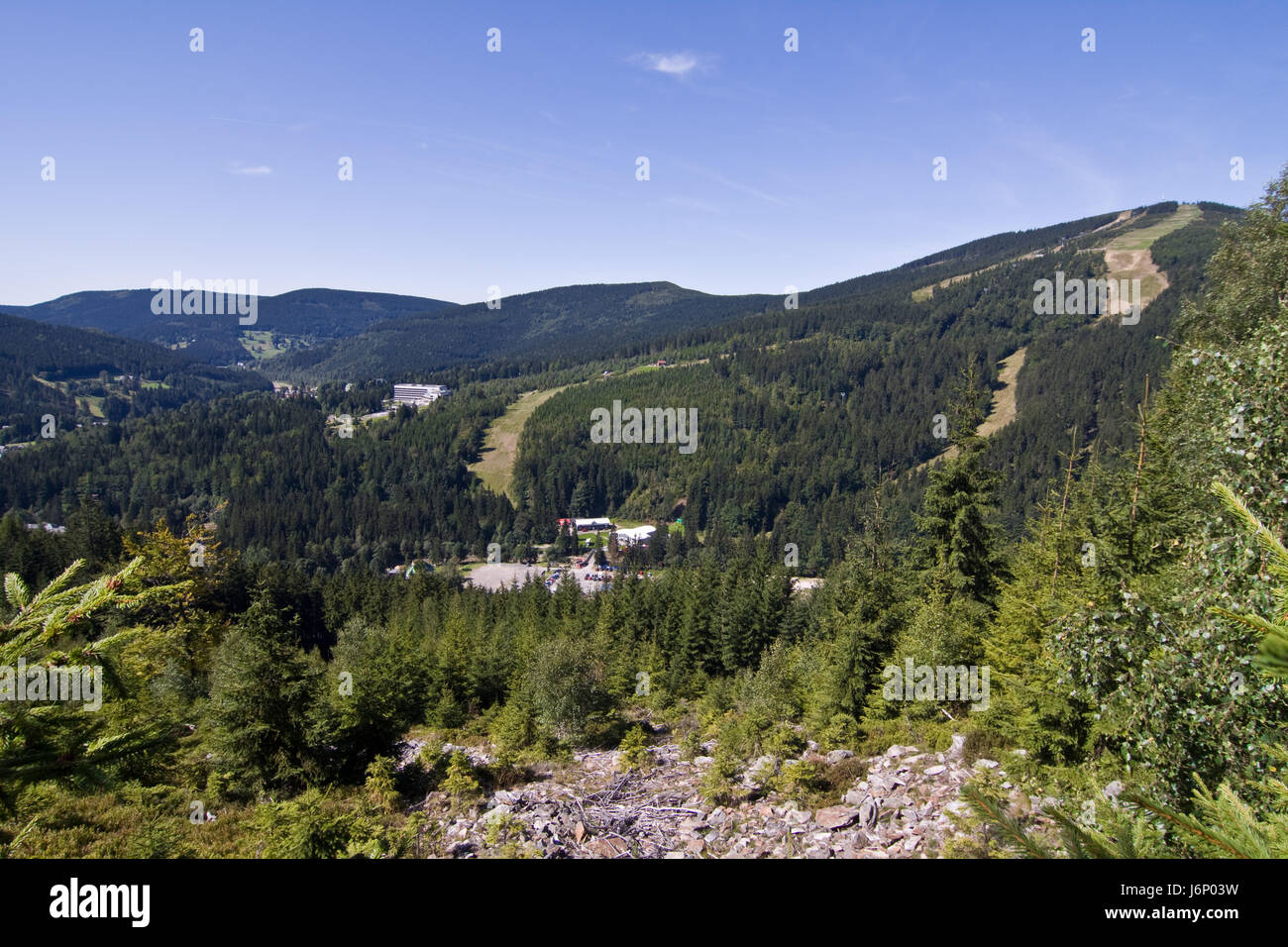 tree trees mountains exit mountain world hill top forest tree trees ...