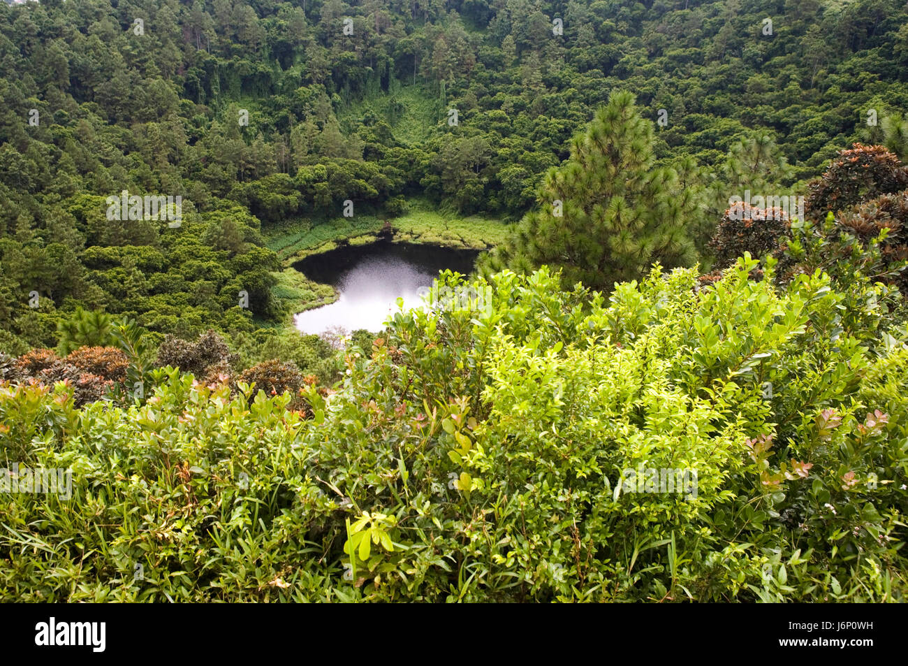 green national park mauritius salt water sea ocean water scenery ...