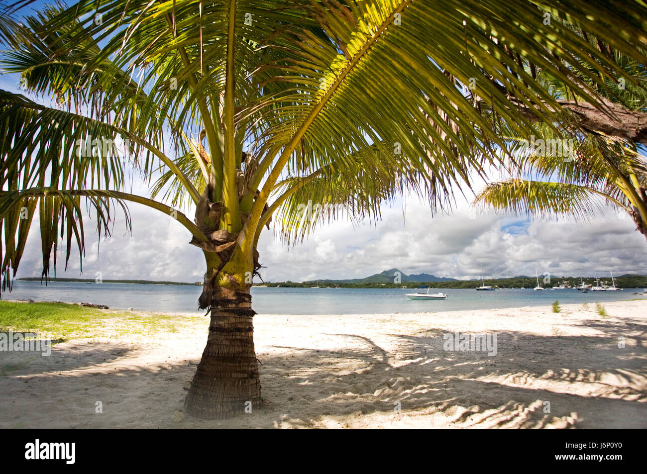 africa beach seaside the beach seashore mauritius salt water sea ocean ...
