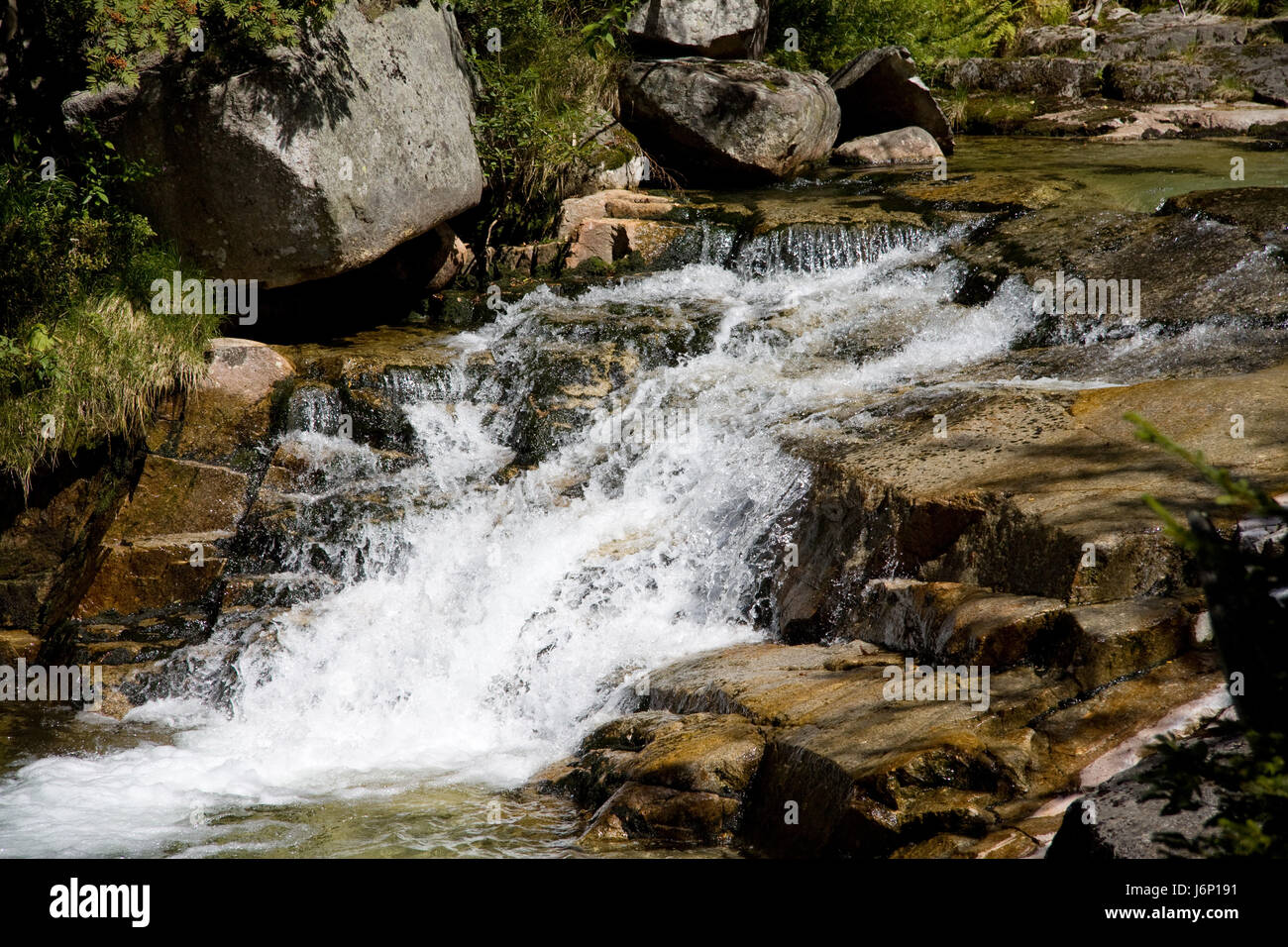 mountains stream firs mountain forest tree trees mountains plant wood ...