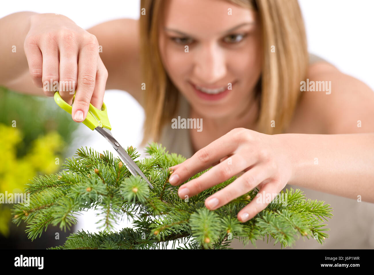 woman cut scissors scissor gardening young younger plant woman tree garden Stock Photo - Alamy