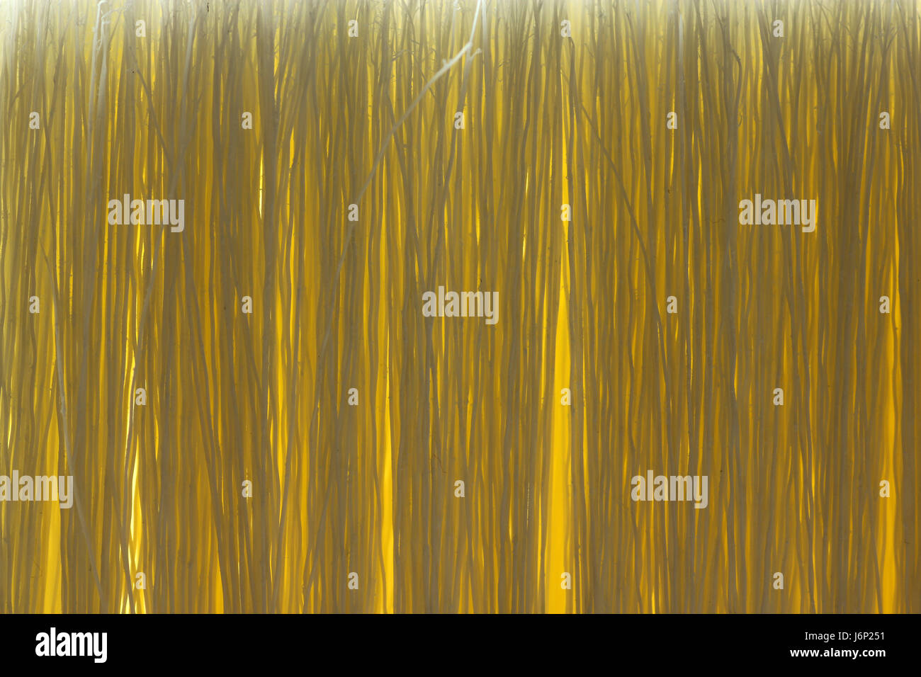 Yellow fibre fibers fibres hi-res stock photography and images - Alamy