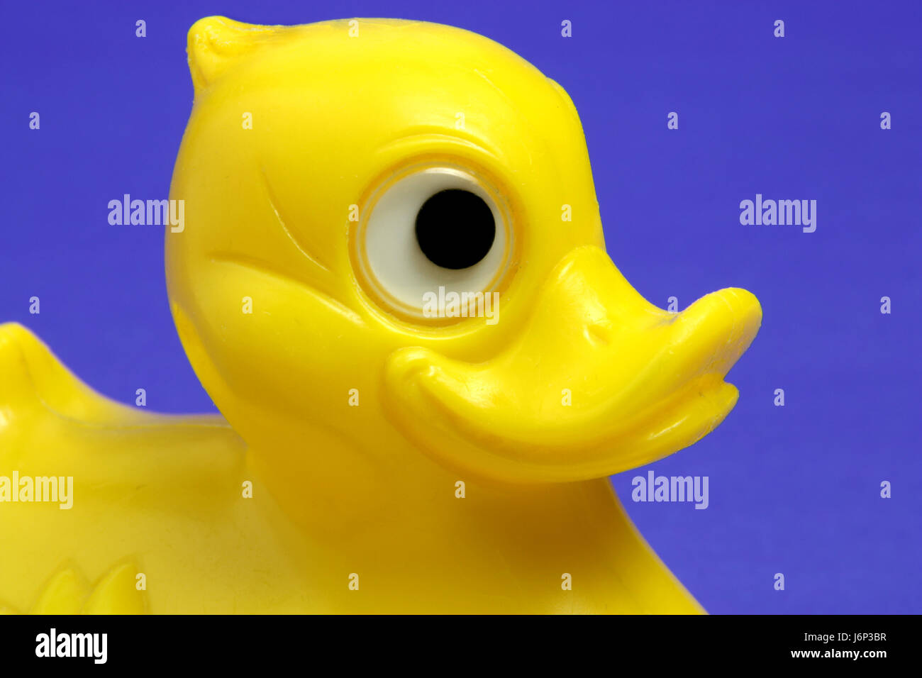 toy duck bath tub tub bathtub rubber duck bathing yellow blue toy duck ...