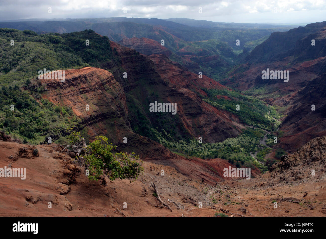 Canyon grand magnific landscape scenery countryside nature scenic ...