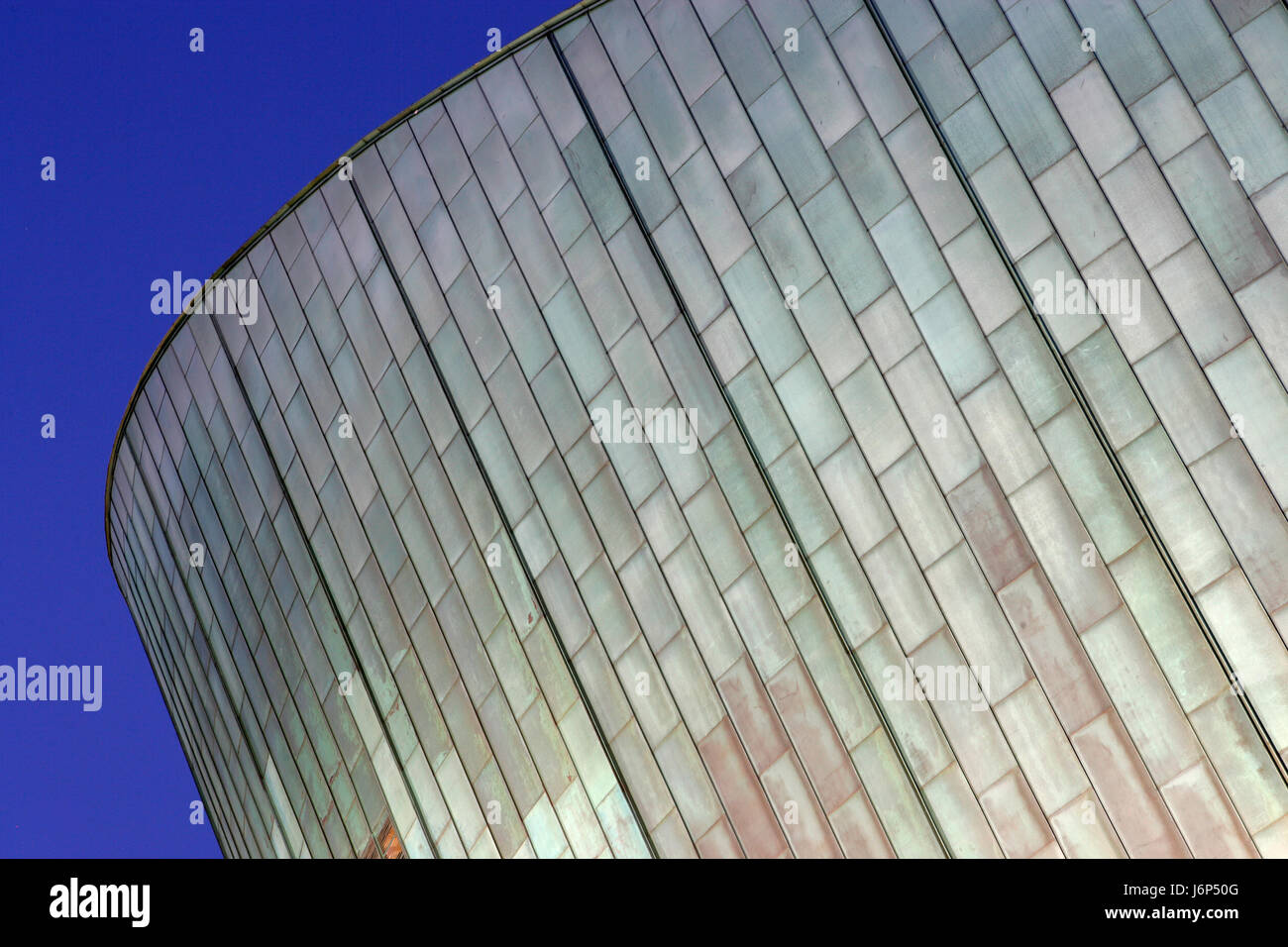 blue fish skin holland scale netherlands style of construction ...
