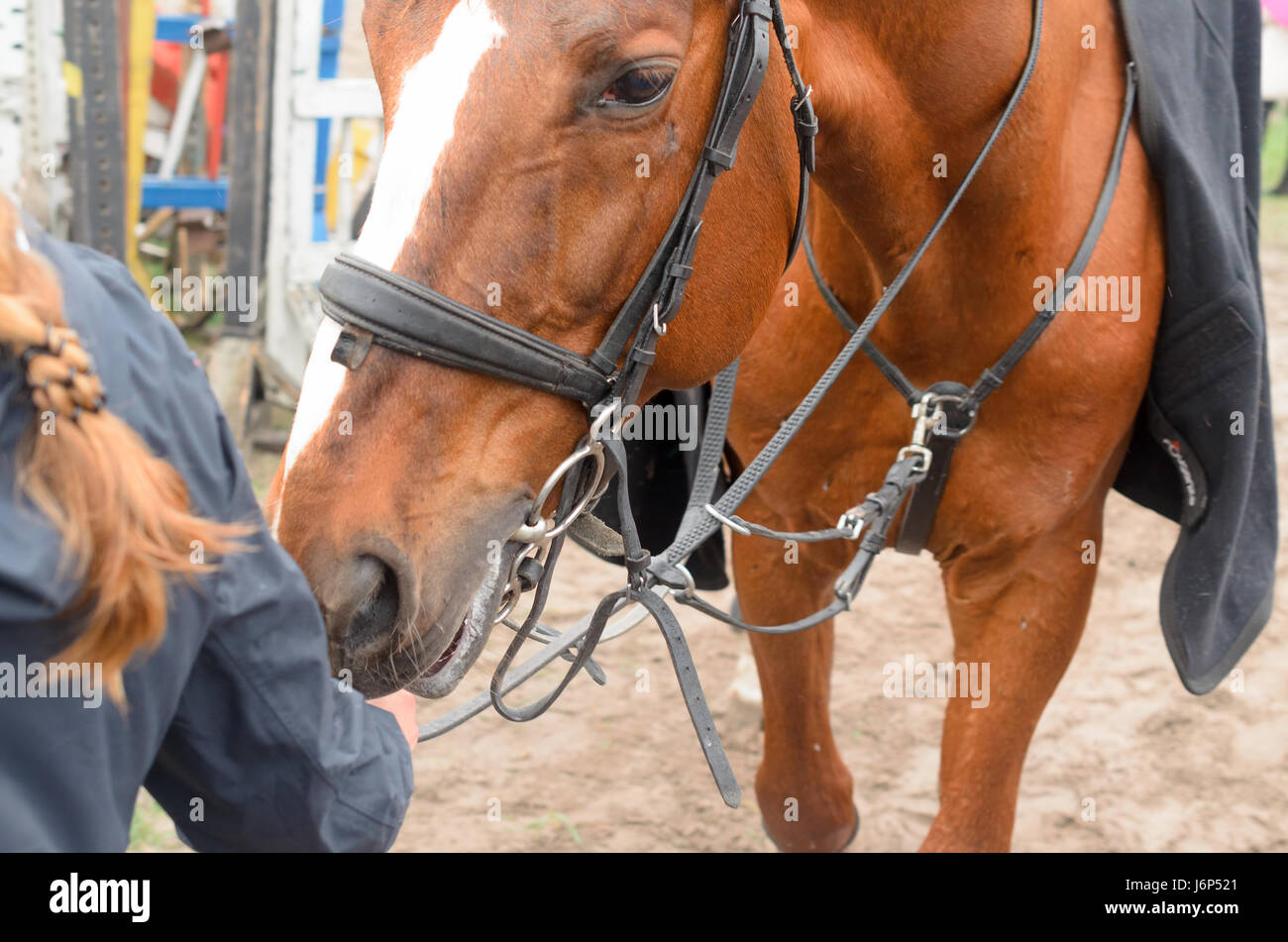 Hug head hi-res stock photography and images - Alamy