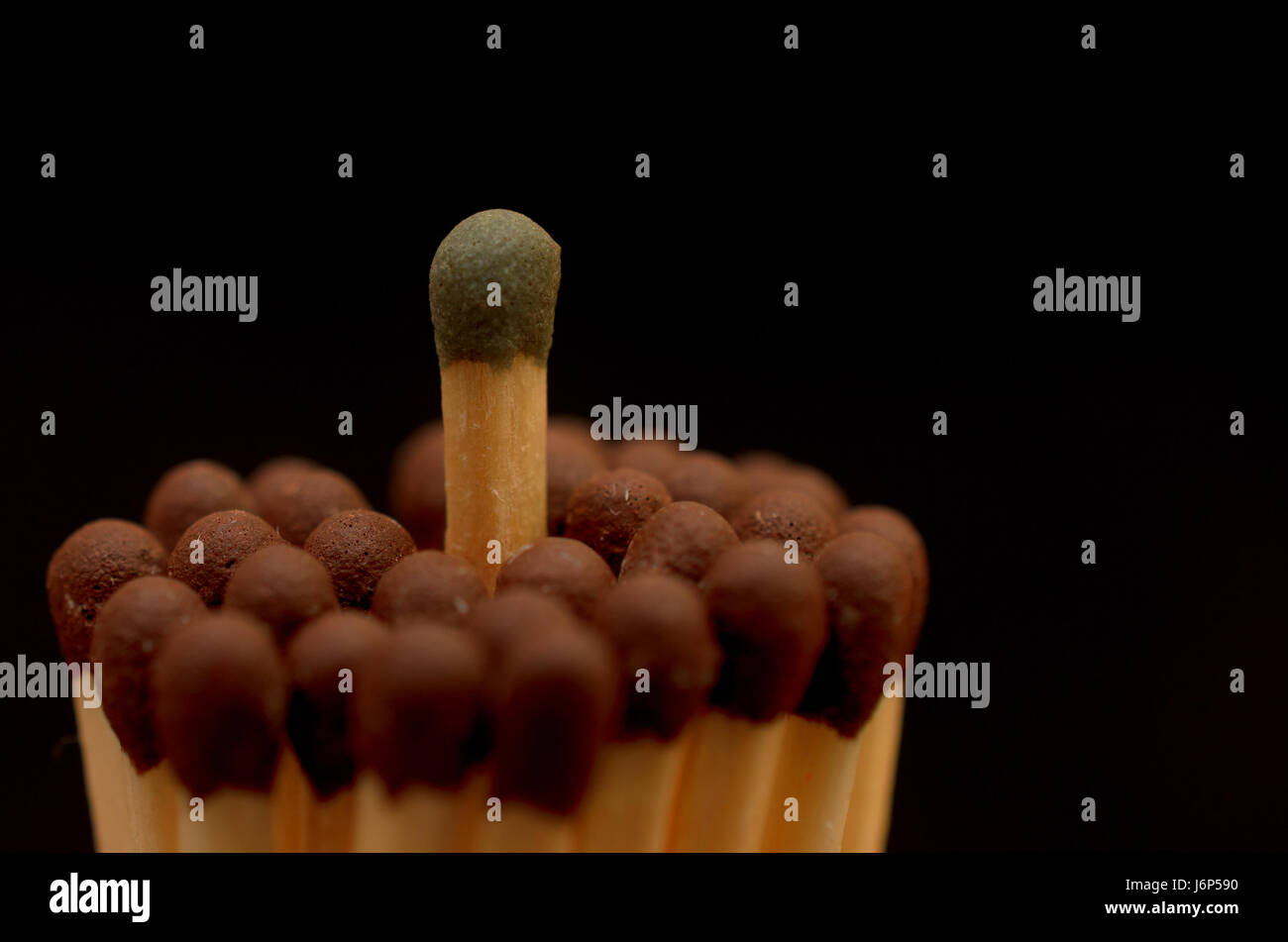 Matches with multi-colored heads Stock Photo - Alamy