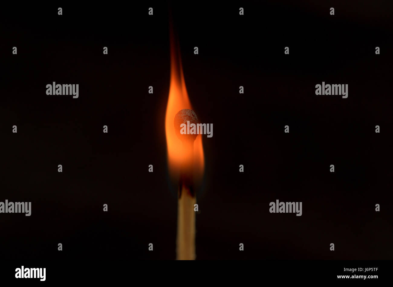 Matches with multi-colored heads Stock Photo - Alamy