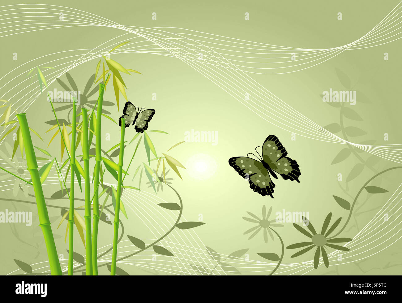 flower plant asia flowers bamboo abstract backdrop background beauty ...