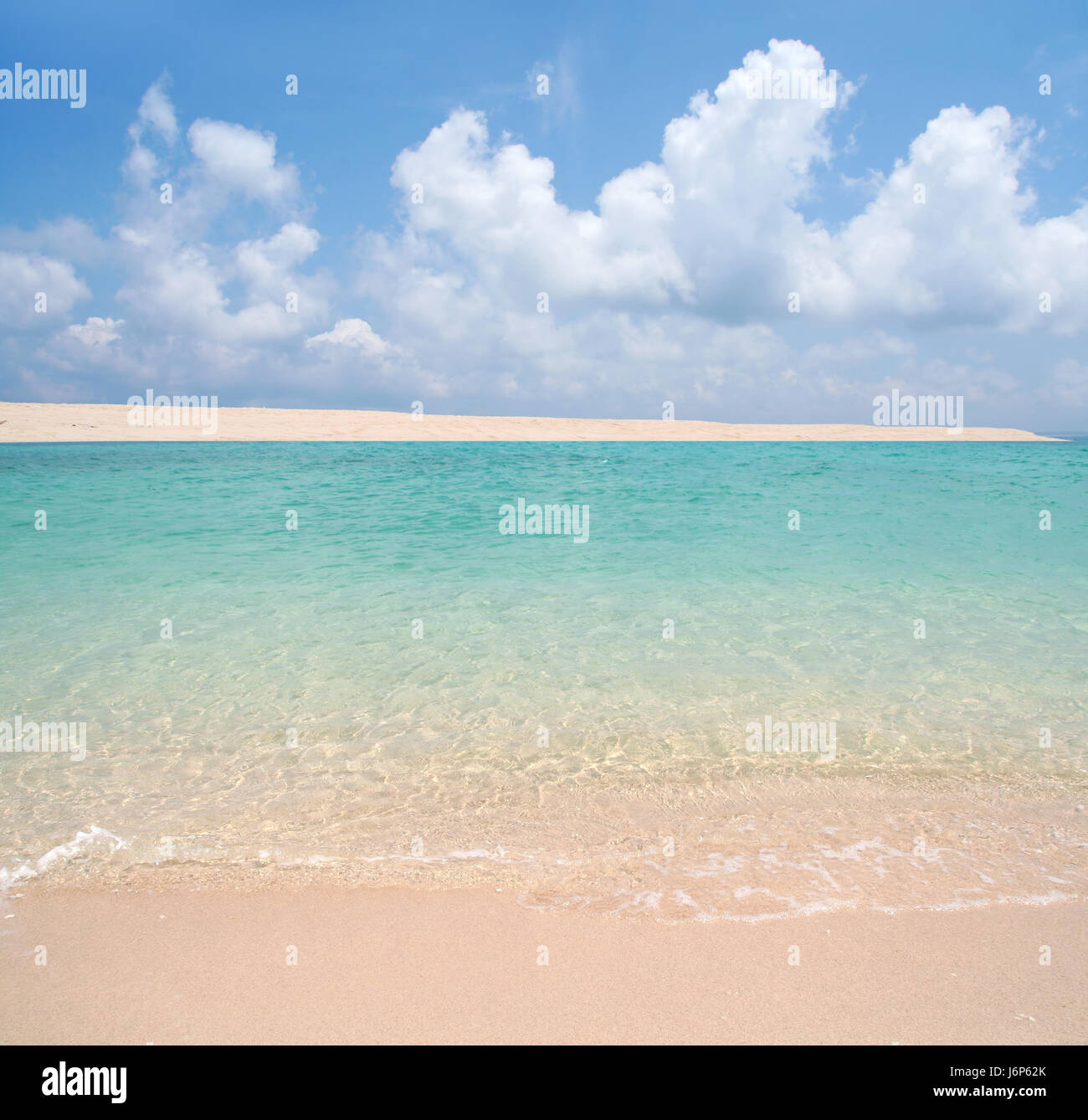 beach seaside the beach seashore summer summerly tropical landscape ...