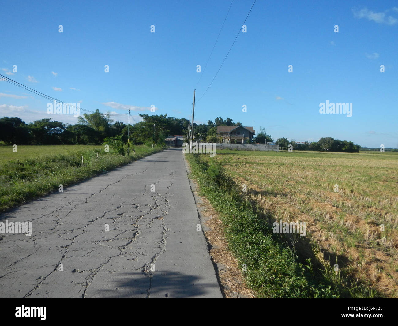 07659 San Roque Pulong Bayabas Pansumaloc San Rafael, Bulacan Farm to ...