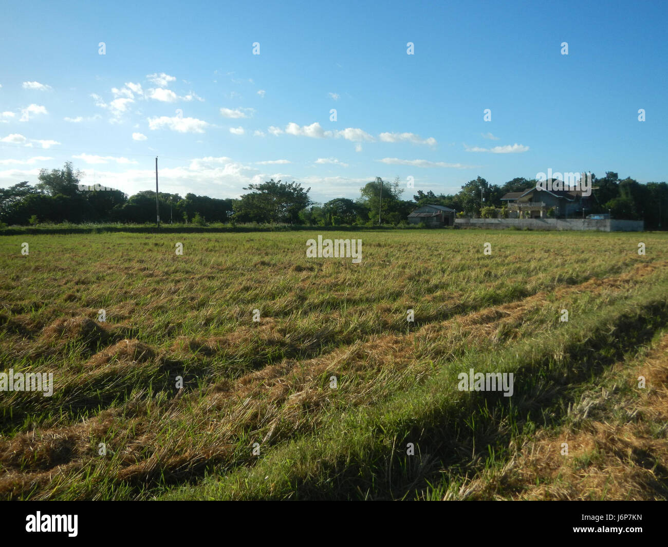 Bulacan farming hi-res stock photography and images - Alamy