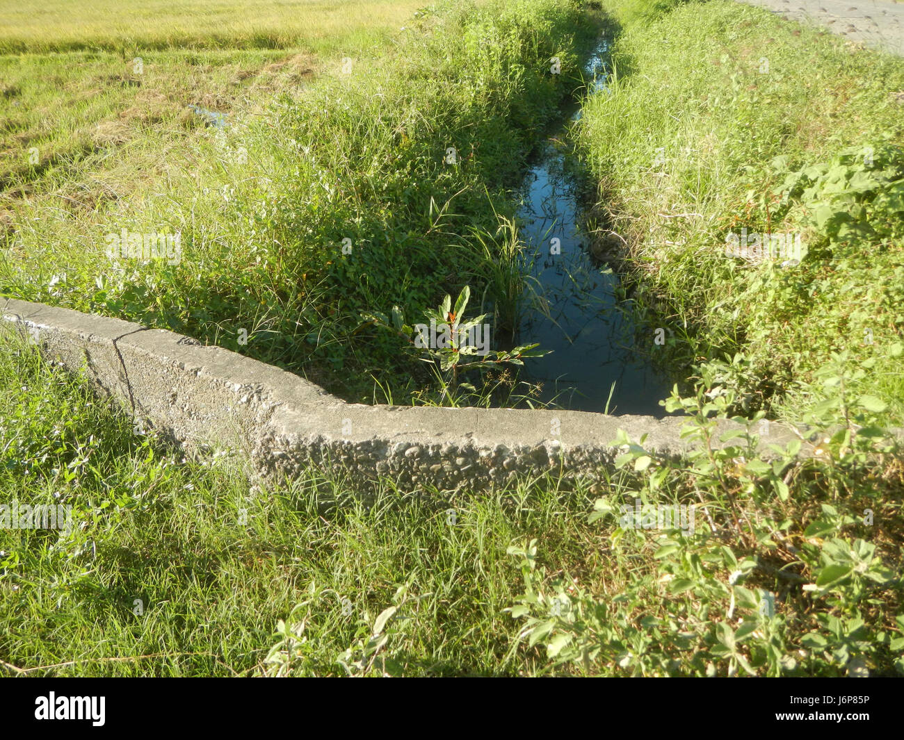 07659 San Roque Pulong Bayabas Pansumaloc San Rafael, Bulacan Farm to ...