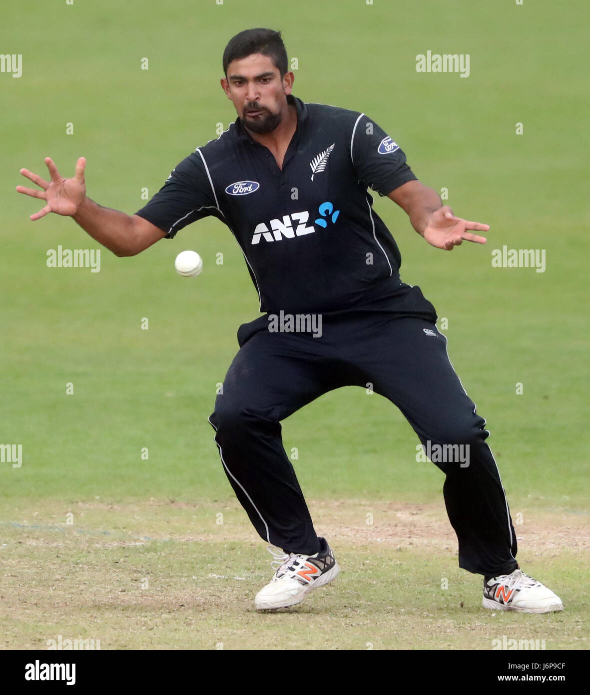 New zealands ish sodhi hi-res stock photography and images - Alamy