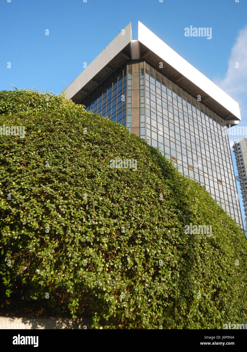 The image shows a view of the buildings along Chino Roces Avenue in the ...