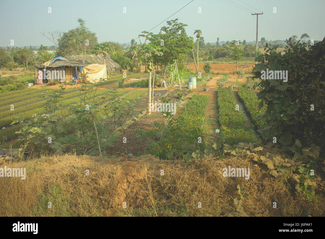 Poor indians hi-res stock photography and images - Alamy