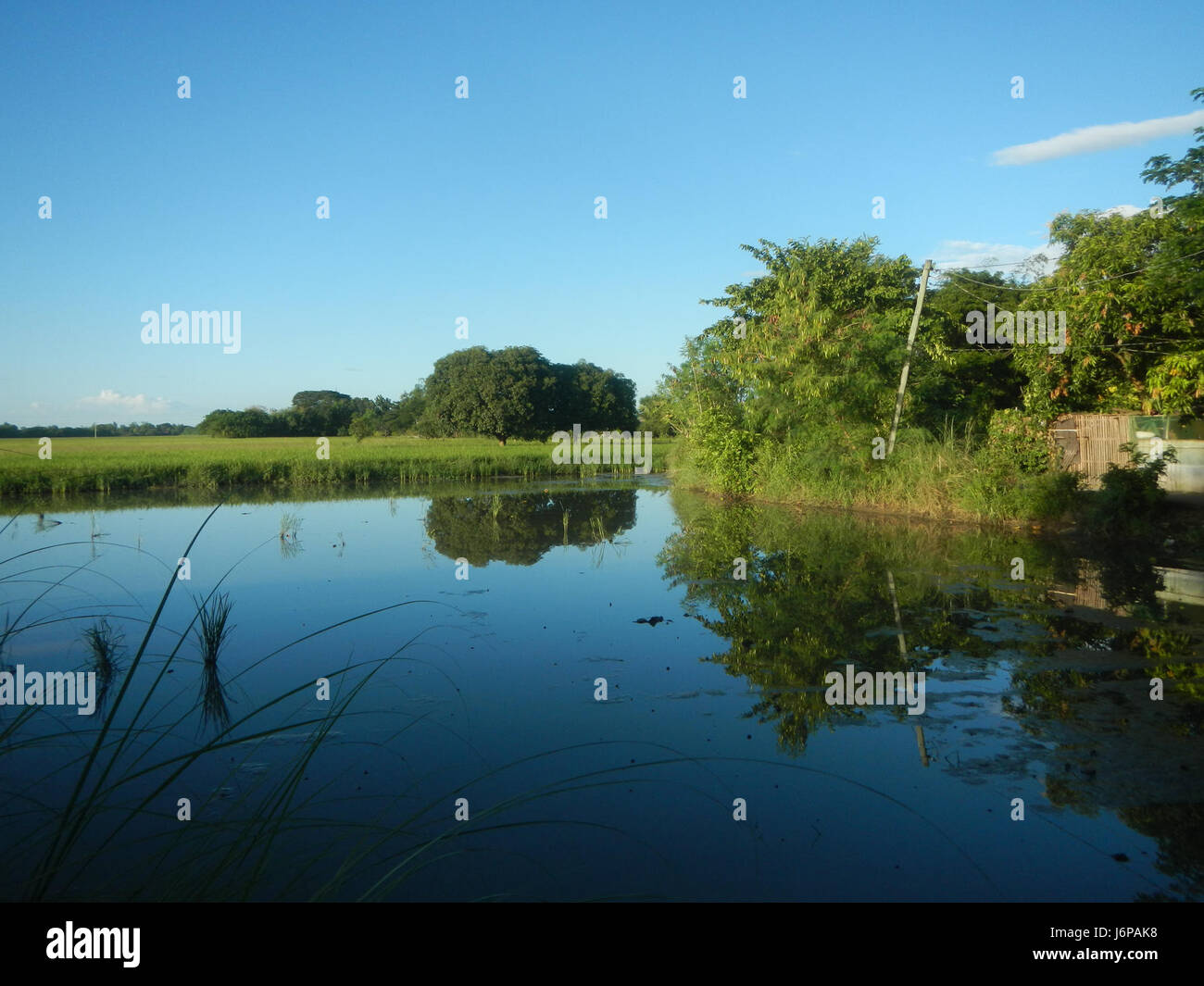 This image captures the scenic landscape of the paddy fields in Pulong ...