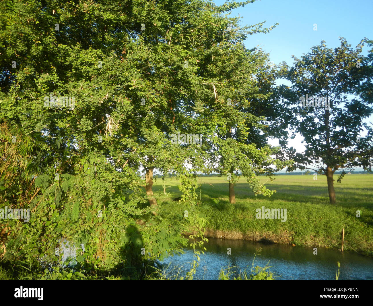 This reference describes the rural agricultural landscape in Candaba ...