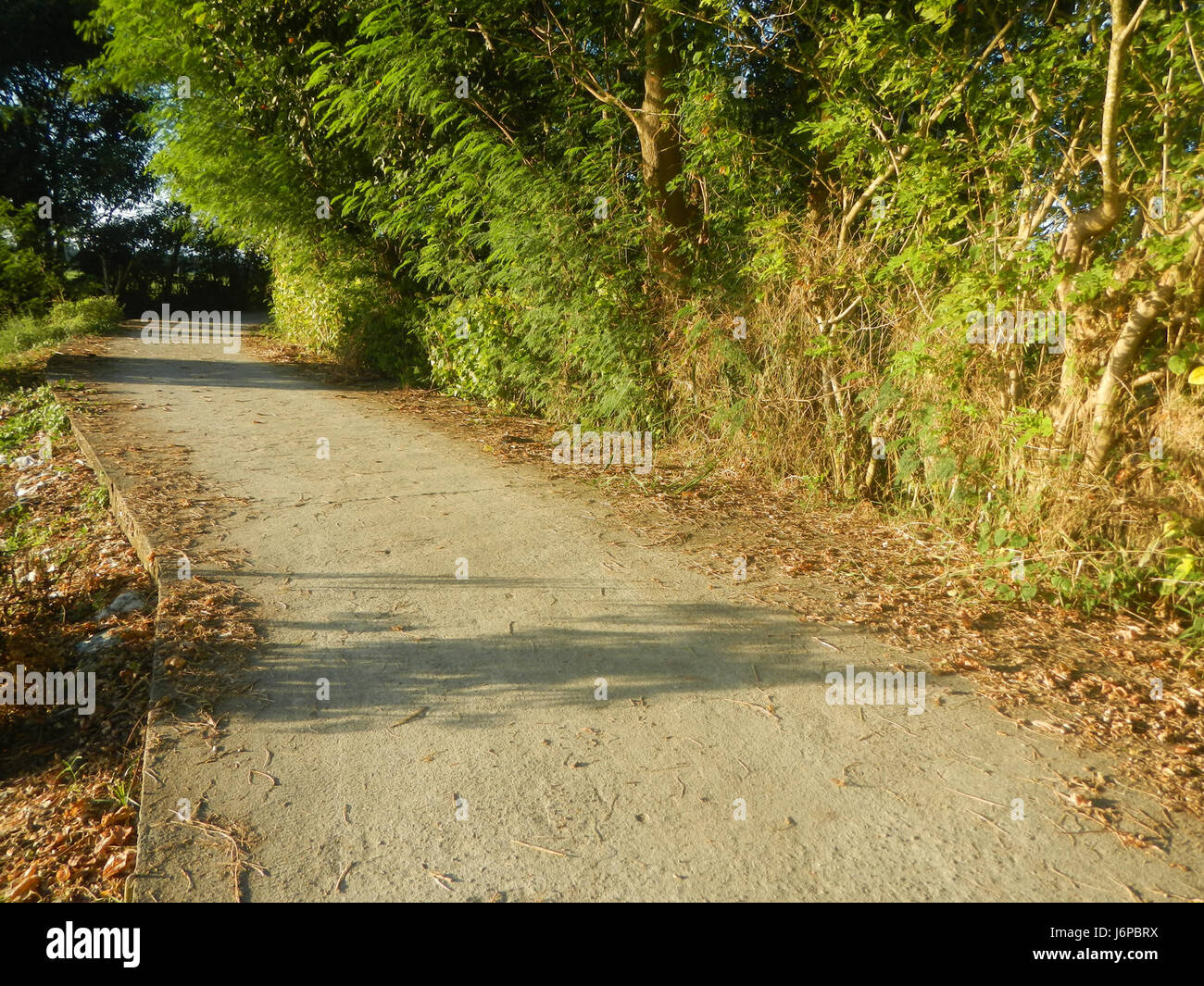 The image shows the rural landscape of Pulong Palazan in Candaba ...
