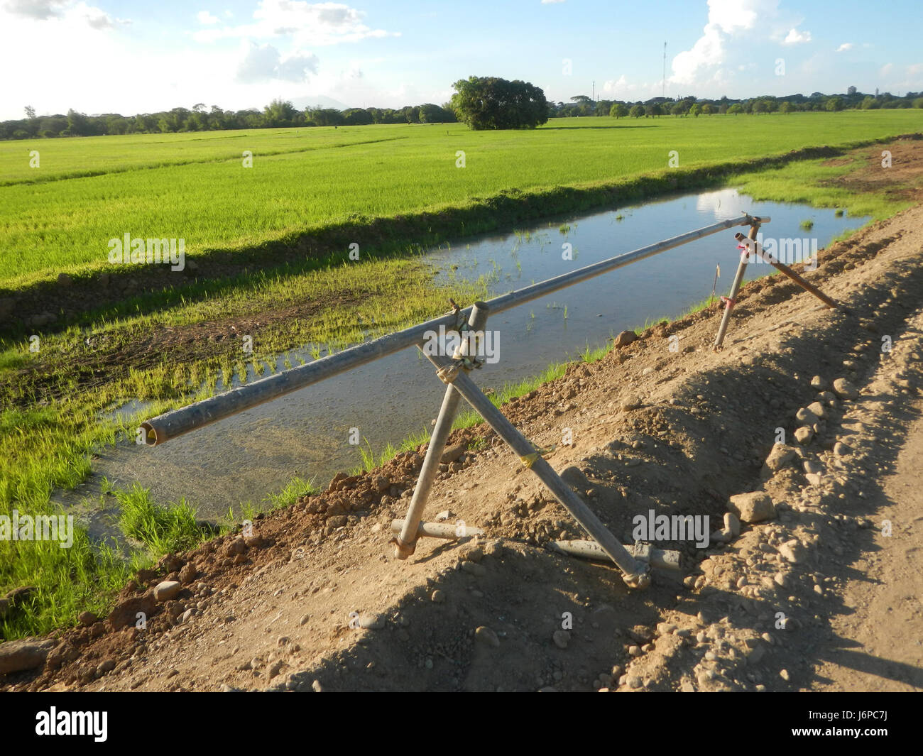 This image shows the paddy fields at sunset near the Plaridel Bypass ...