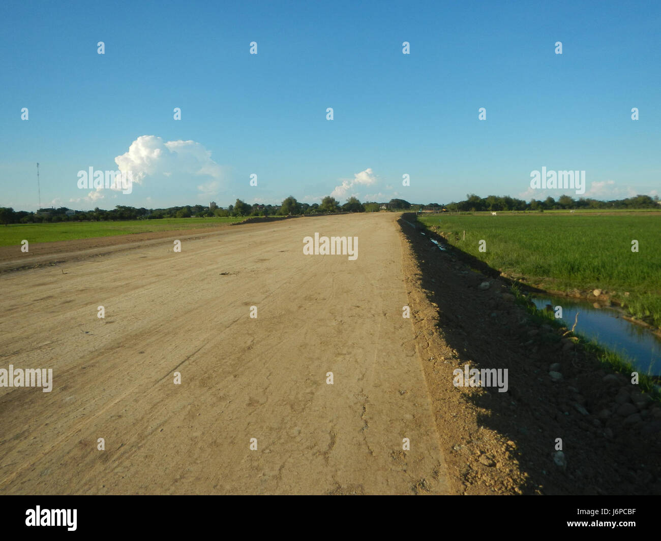 This image depicts the paddy fields near the Plaridel Bypass Project in ...